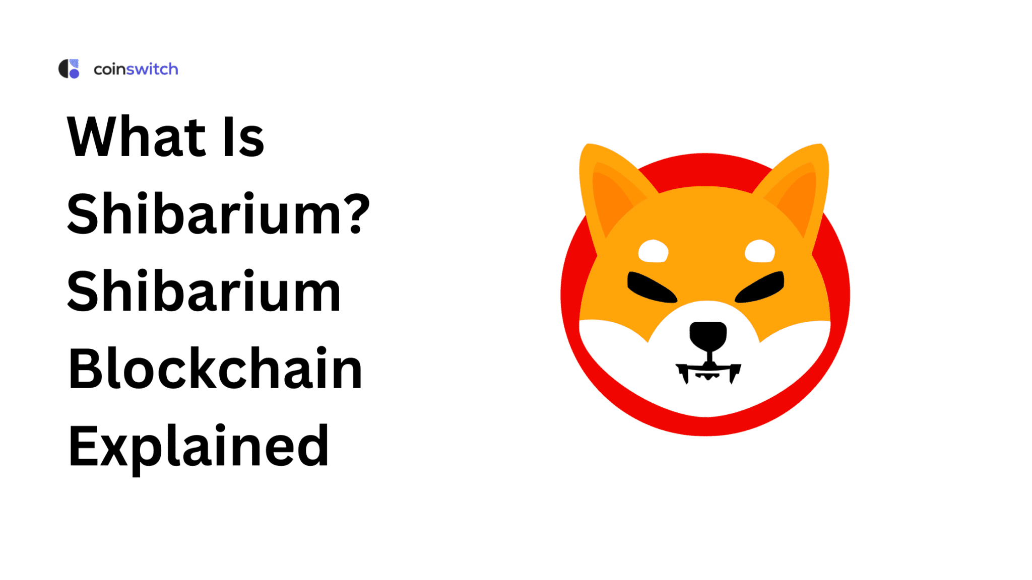 What Is Shibarium? Shibarium Blockchain Explained - CoinSwitch